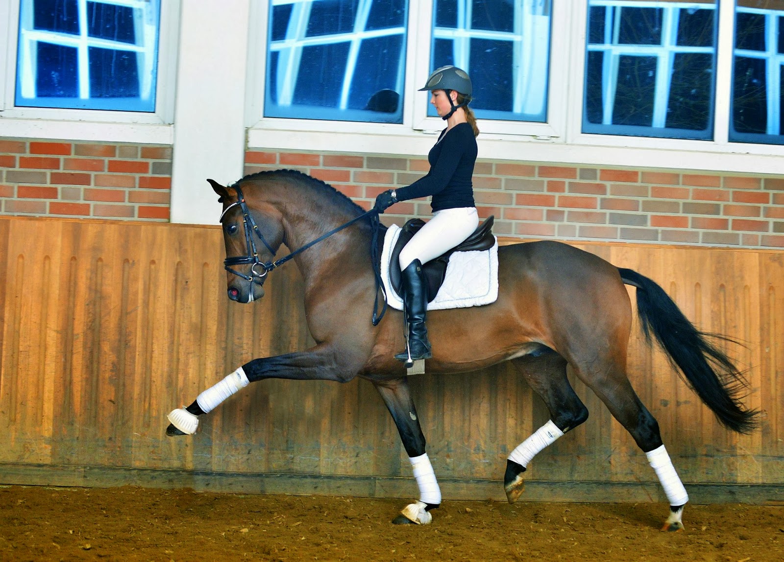 Judy's News from Yancey Farms: Furst Larino (Furst Romancier - Don ...