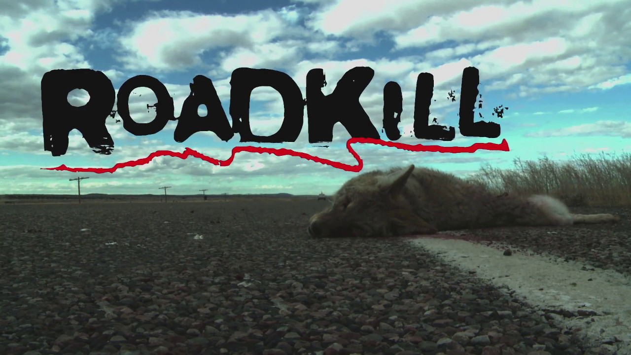 Ep 1 ~ Roadkill (Season 7) Full Episode: Project-Car Showdown at ...