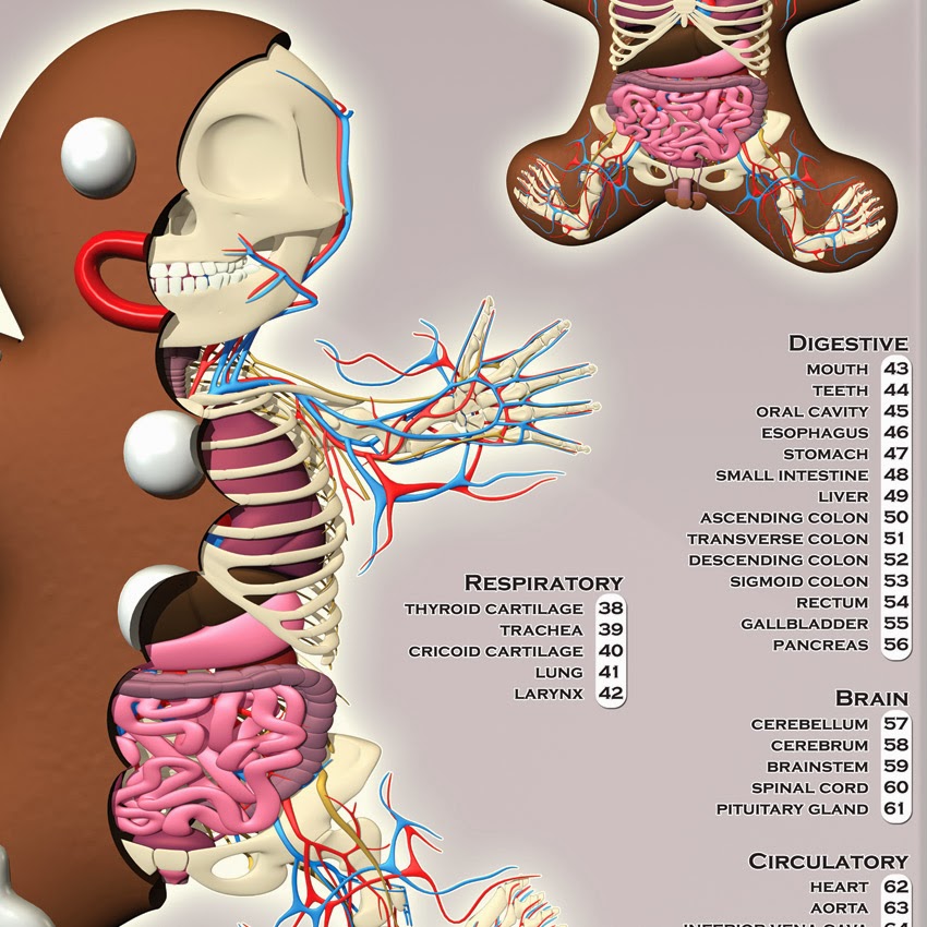 INSIDE THE ROCK POSTER FRAME BLOG: Jason Freeny Gingerbread Man ...