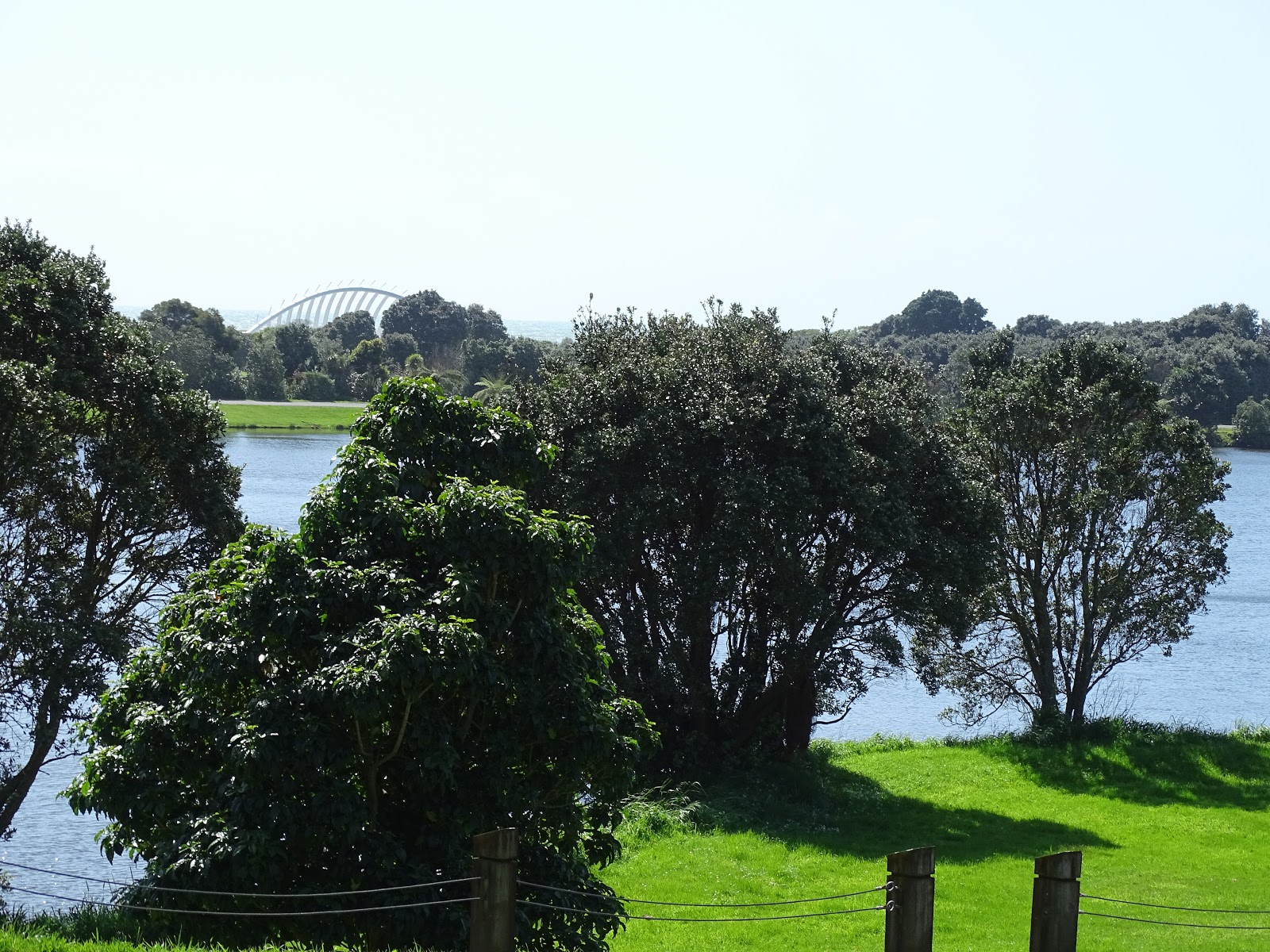 over the hill: Te Rewa Rewa Bridge