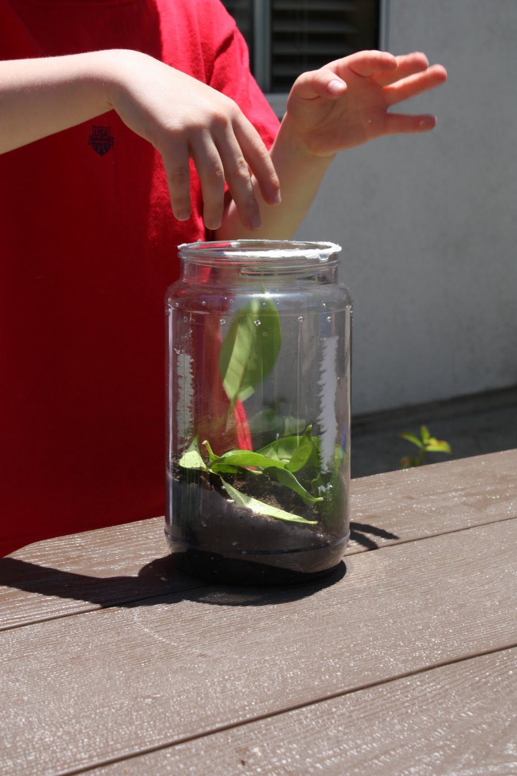 Moms for Xanax: Pill Bug Terrariums