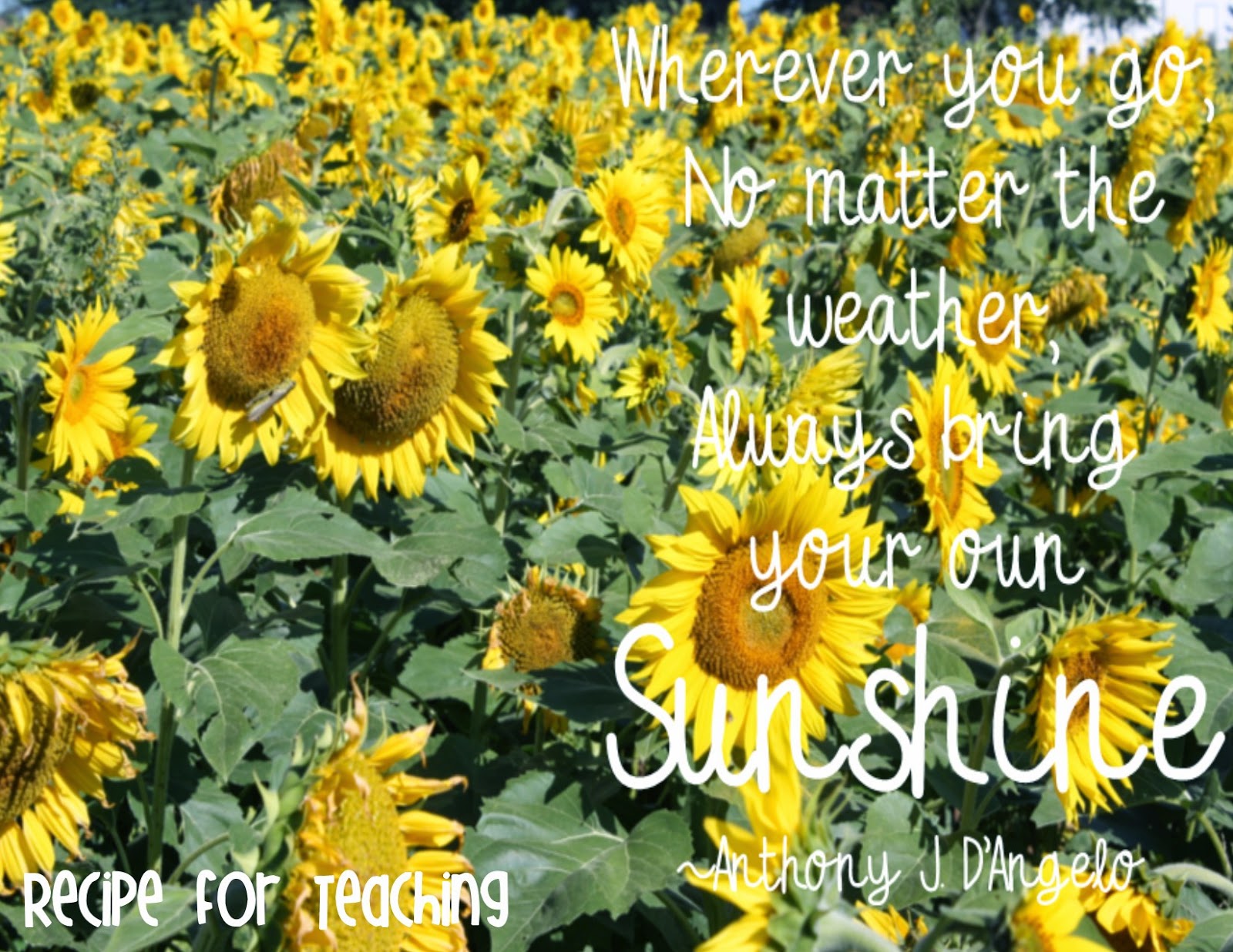 Five for FRIDAY!!! - Recipe for Teaching