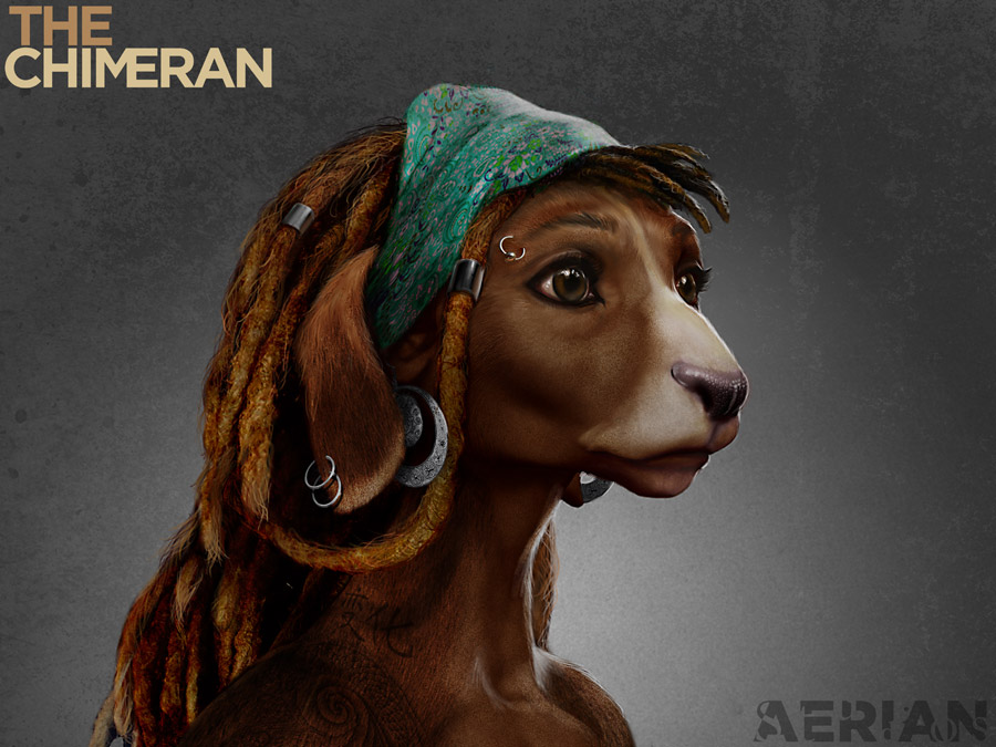 Drawing Conclusions: The Chimeran