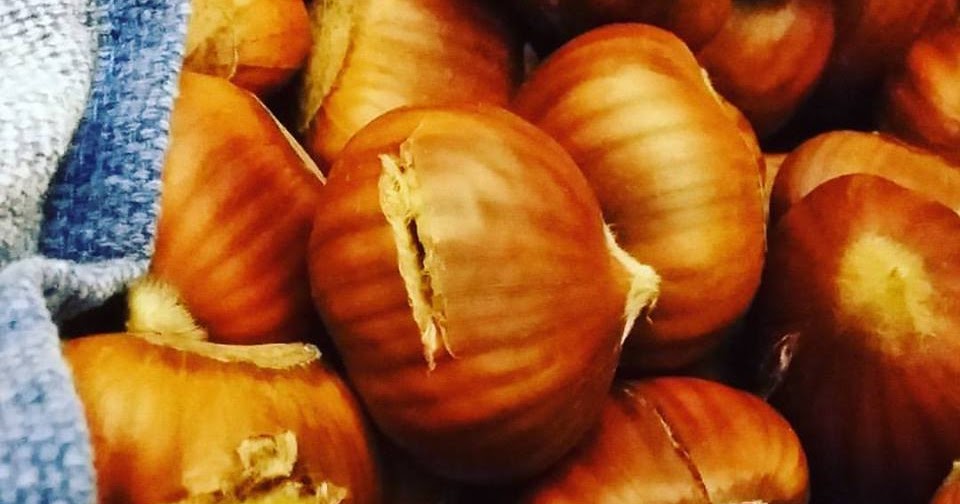 Le Castagne, piccoli tesori del bosco