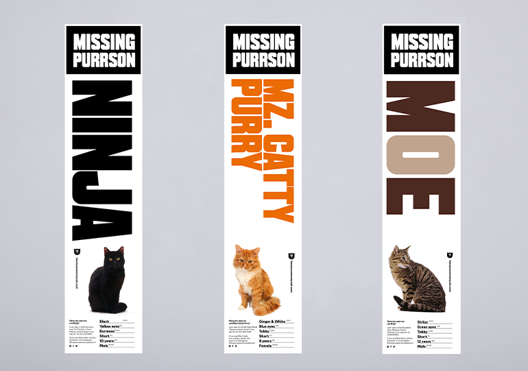 Good design makes me happy: Project Love: Have you seen my cat?