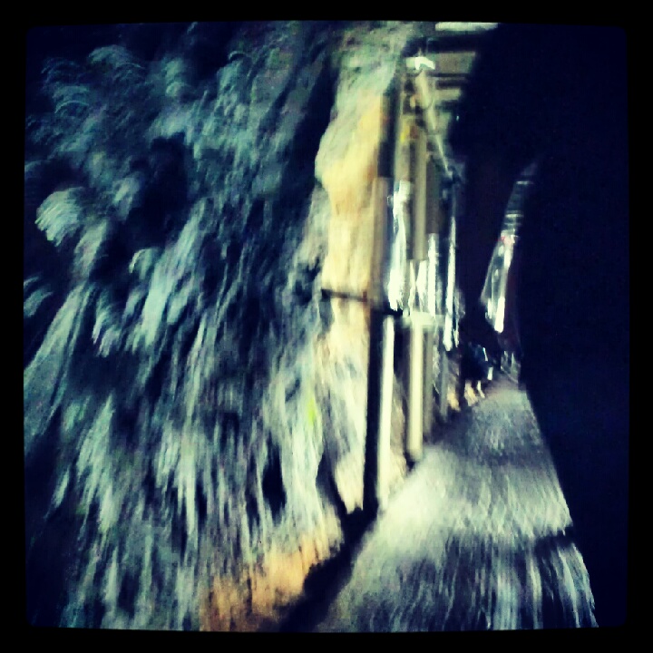 The Journal of a Spiritual Wonderer: DMZ Dreaming