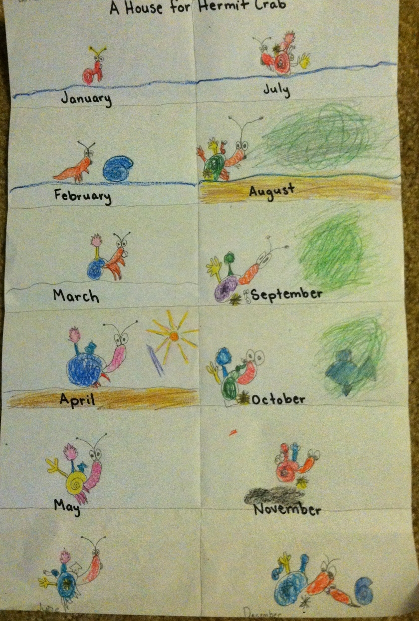 Life in First: A House for Hermit Crab