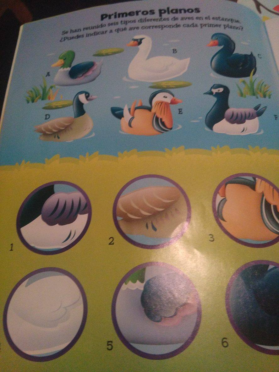 Un día en la granja. Libro de pegatinas - Cuentos de Amatxu