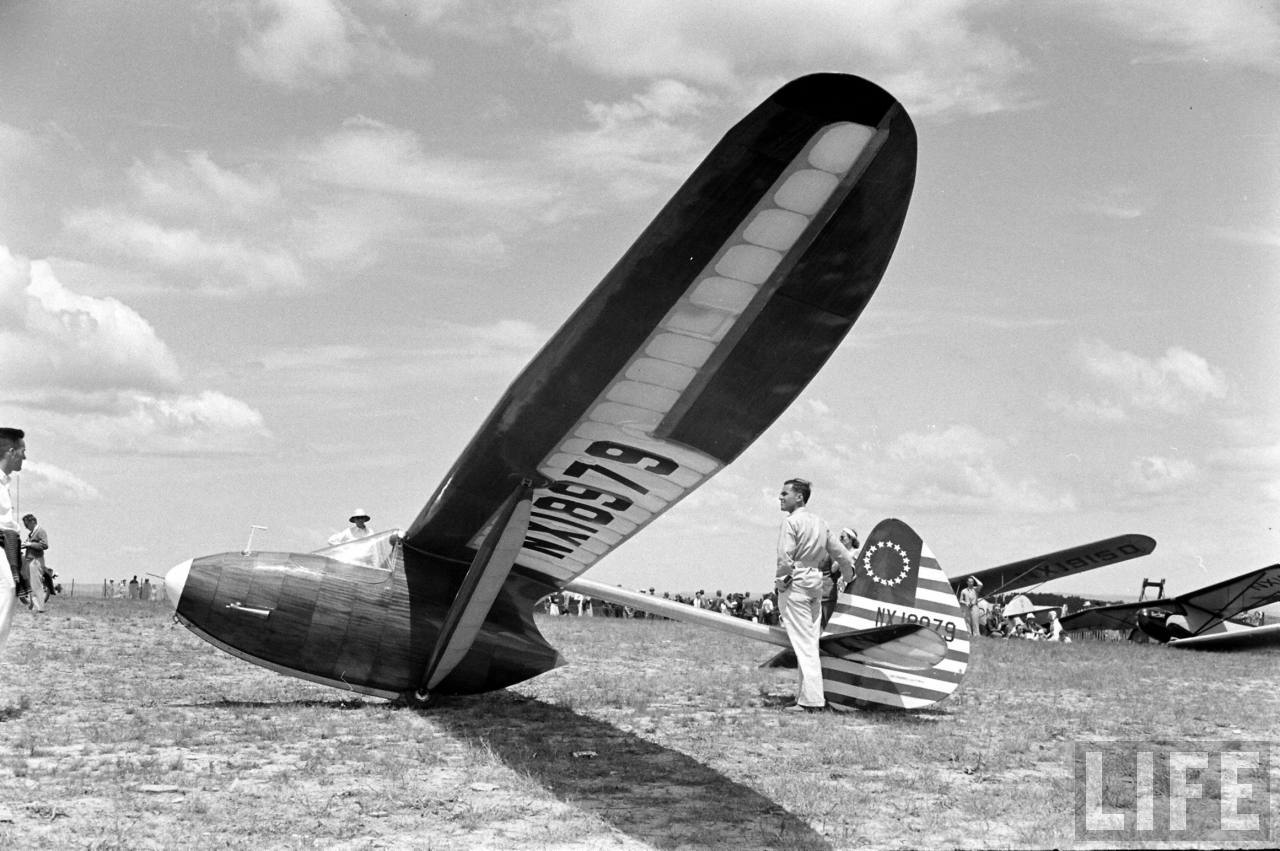 Des pilotes et des avions.: Hawley Bowlus Ba100 Baby Albatross