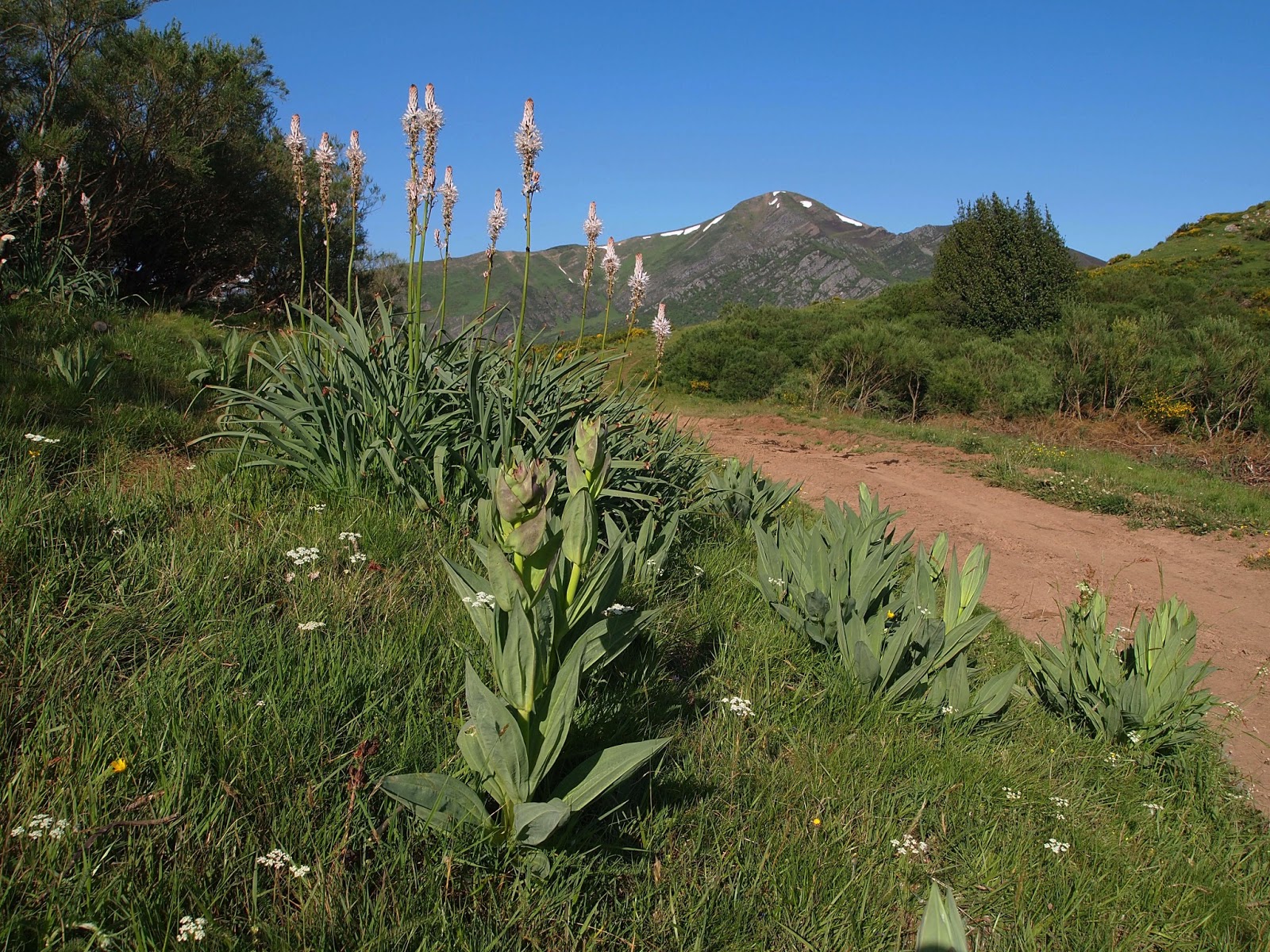 Cumbres de la Cordillera: ruta circular al monte la enramada, somiedo