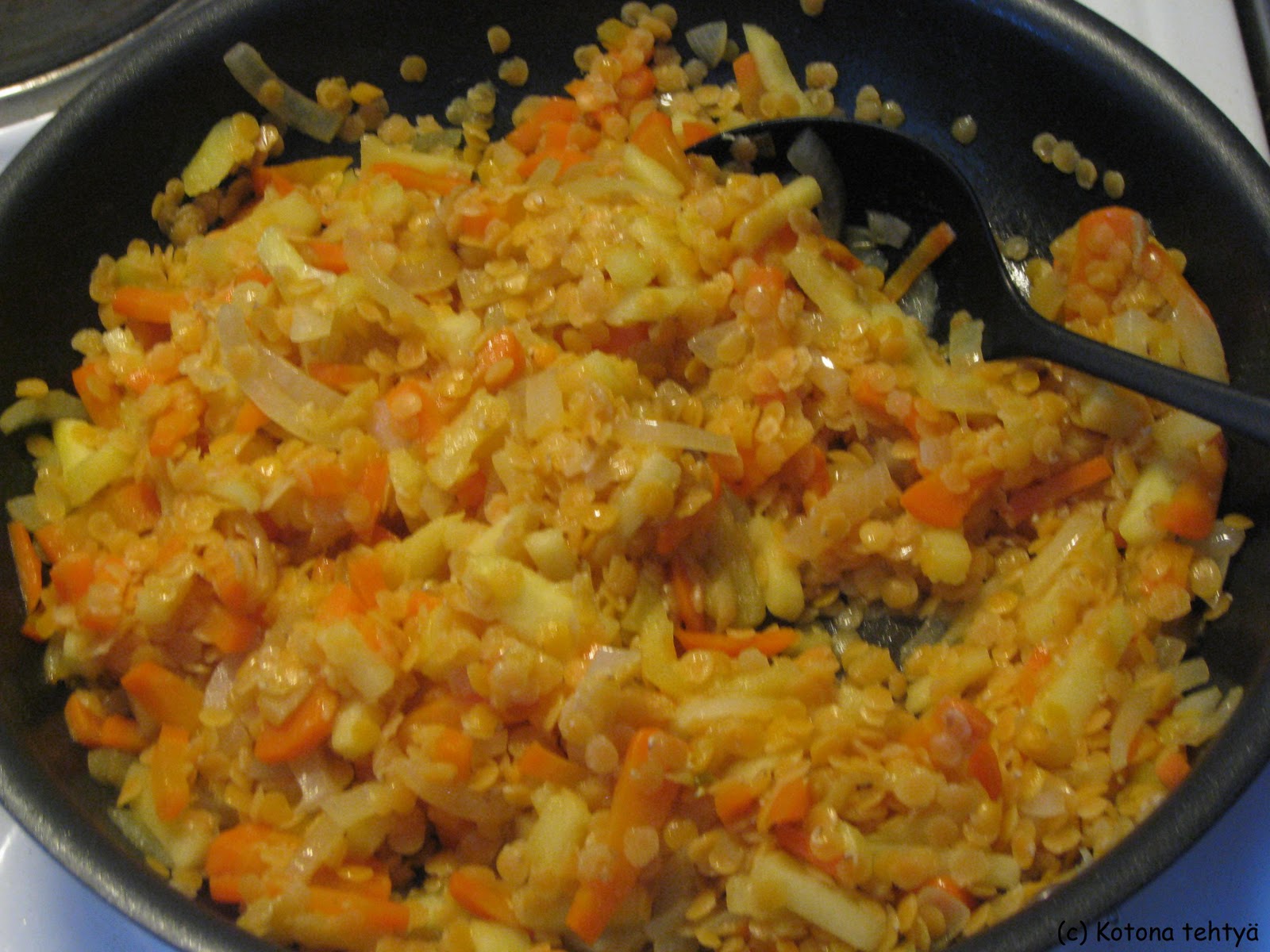 Kotona tehtyä: Linssi-kasvishöystö