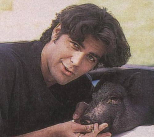 NOS PETITS FRERES LES ANIMAUX: George et Max clooney