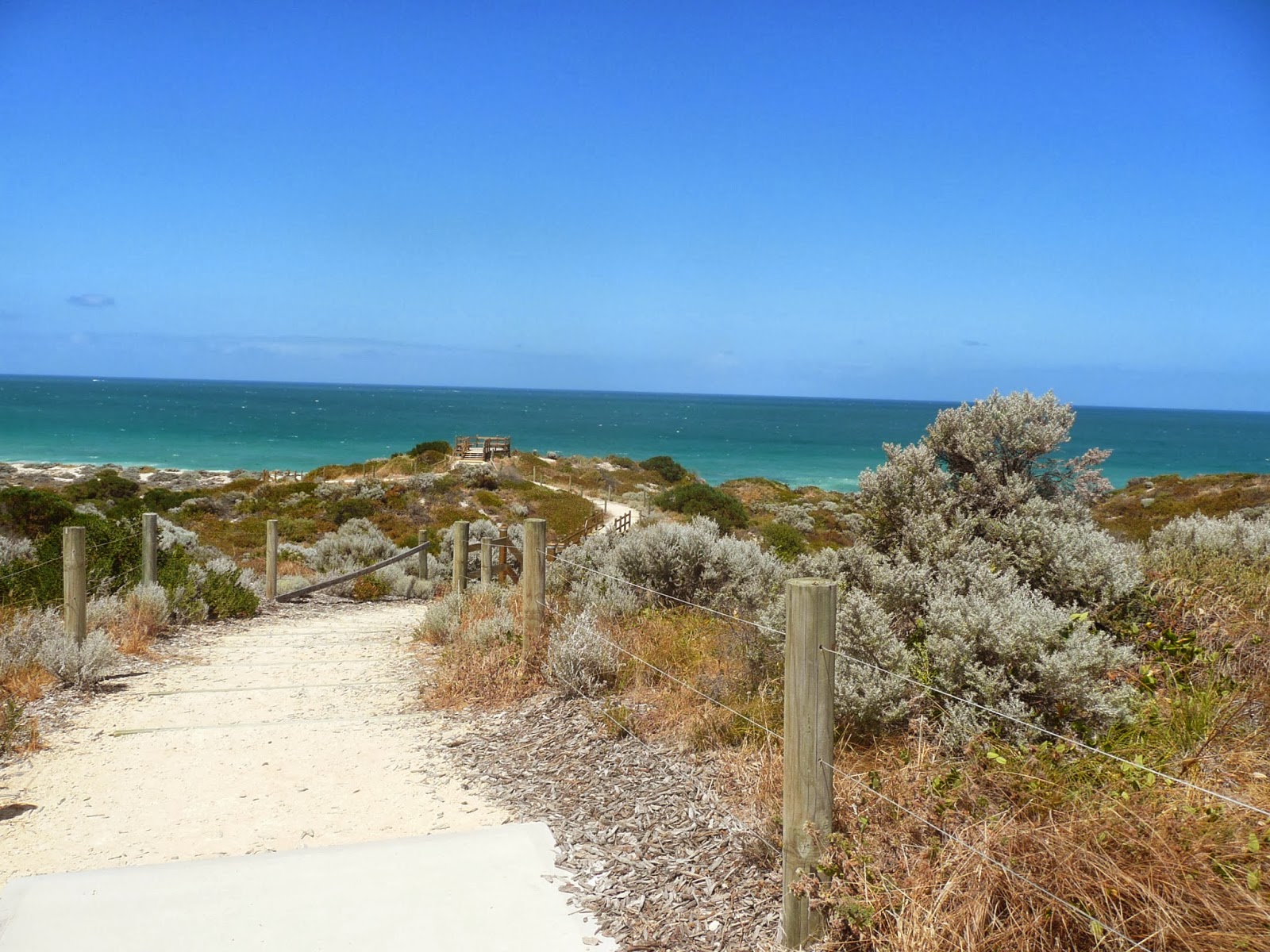 MobileMarshies: PERTH 2 - TWO ROCKS AND YANCHEP (JANUARY 2014)