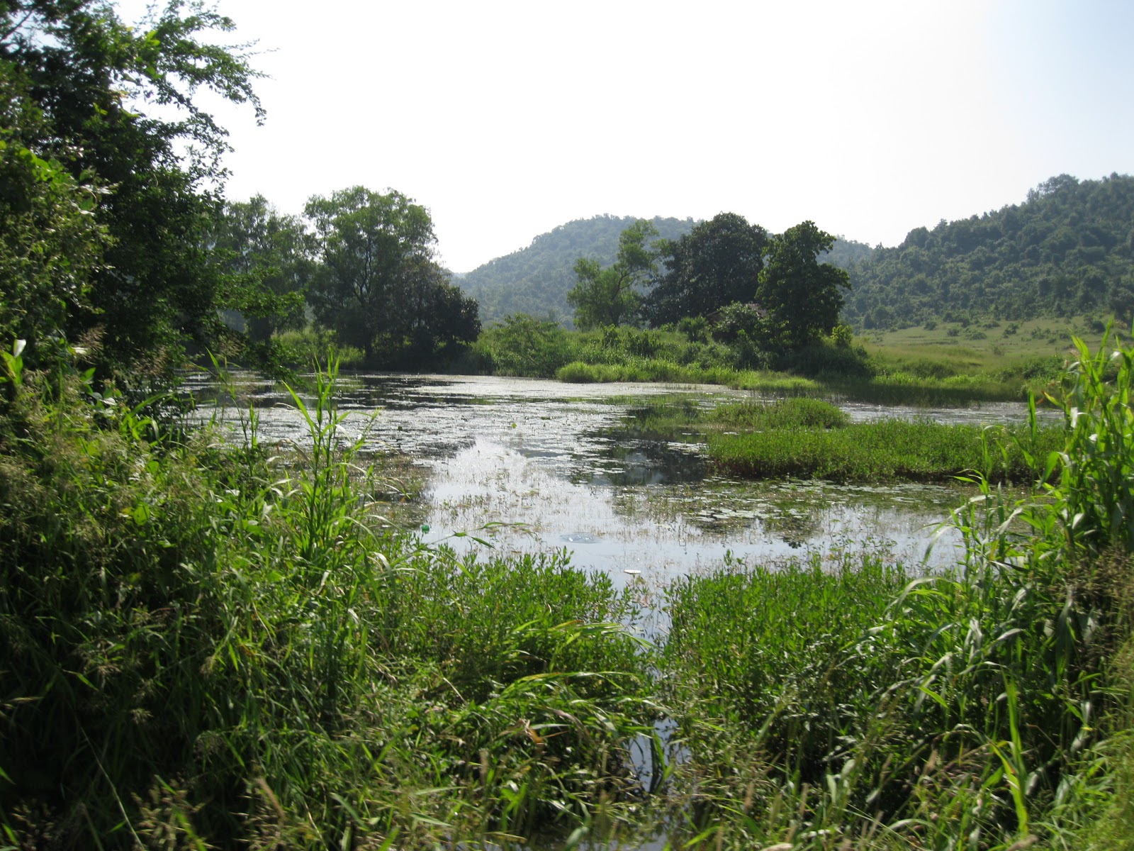 Namo Nityananda: Divine land of Ganeshpuri