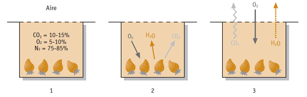 Tecnología Atmósfera Modificada | Atmosfera Modificada