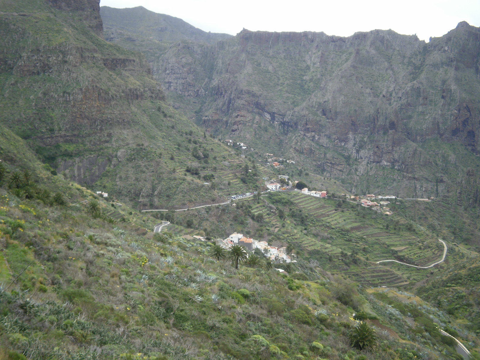 CUADERNO DE GEOGRAFIA CANARIA: La Nueva Geografía Agraria y Rural