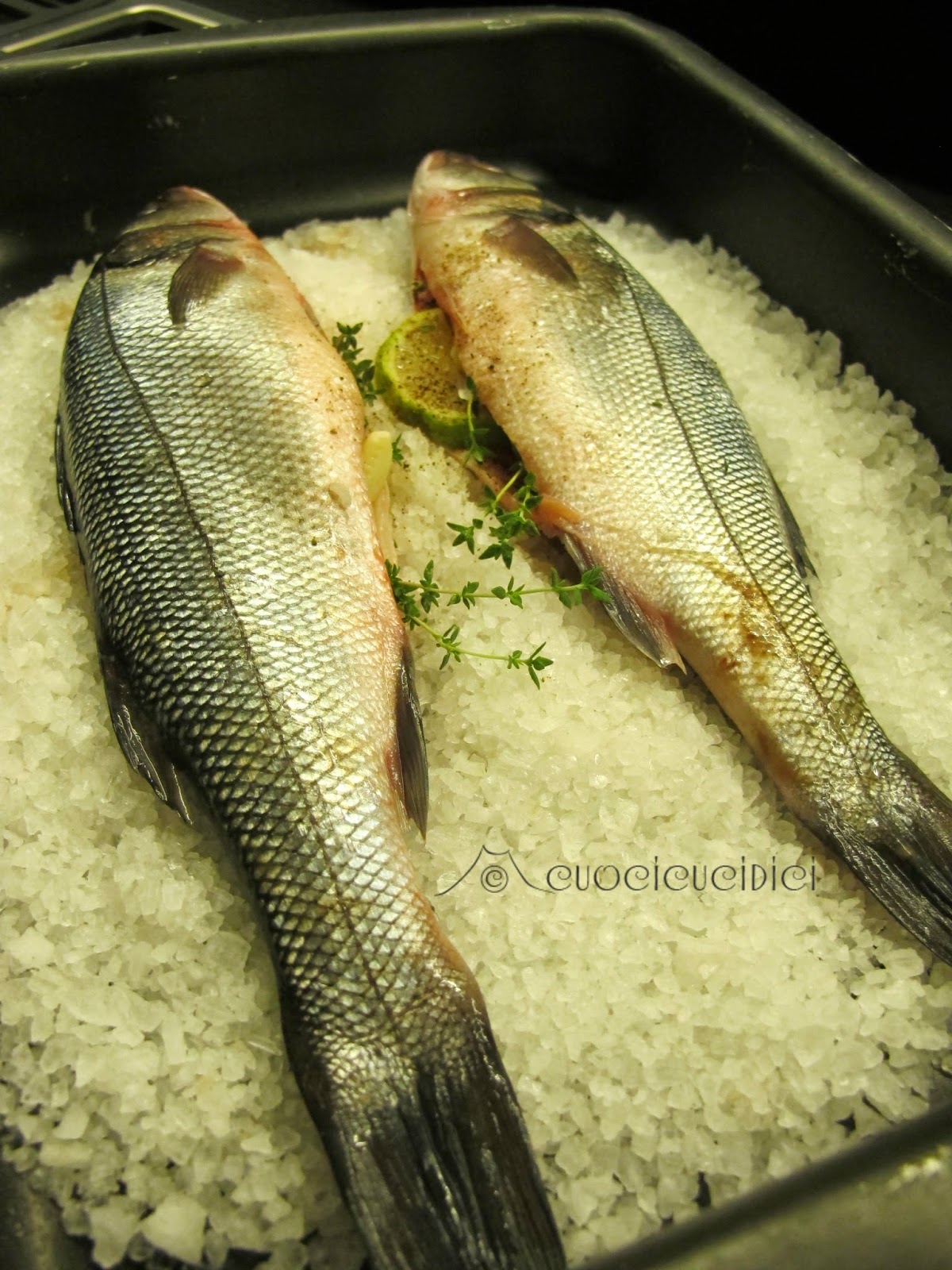 cuocicucidici: PESCE AL SALE - SALT FISH