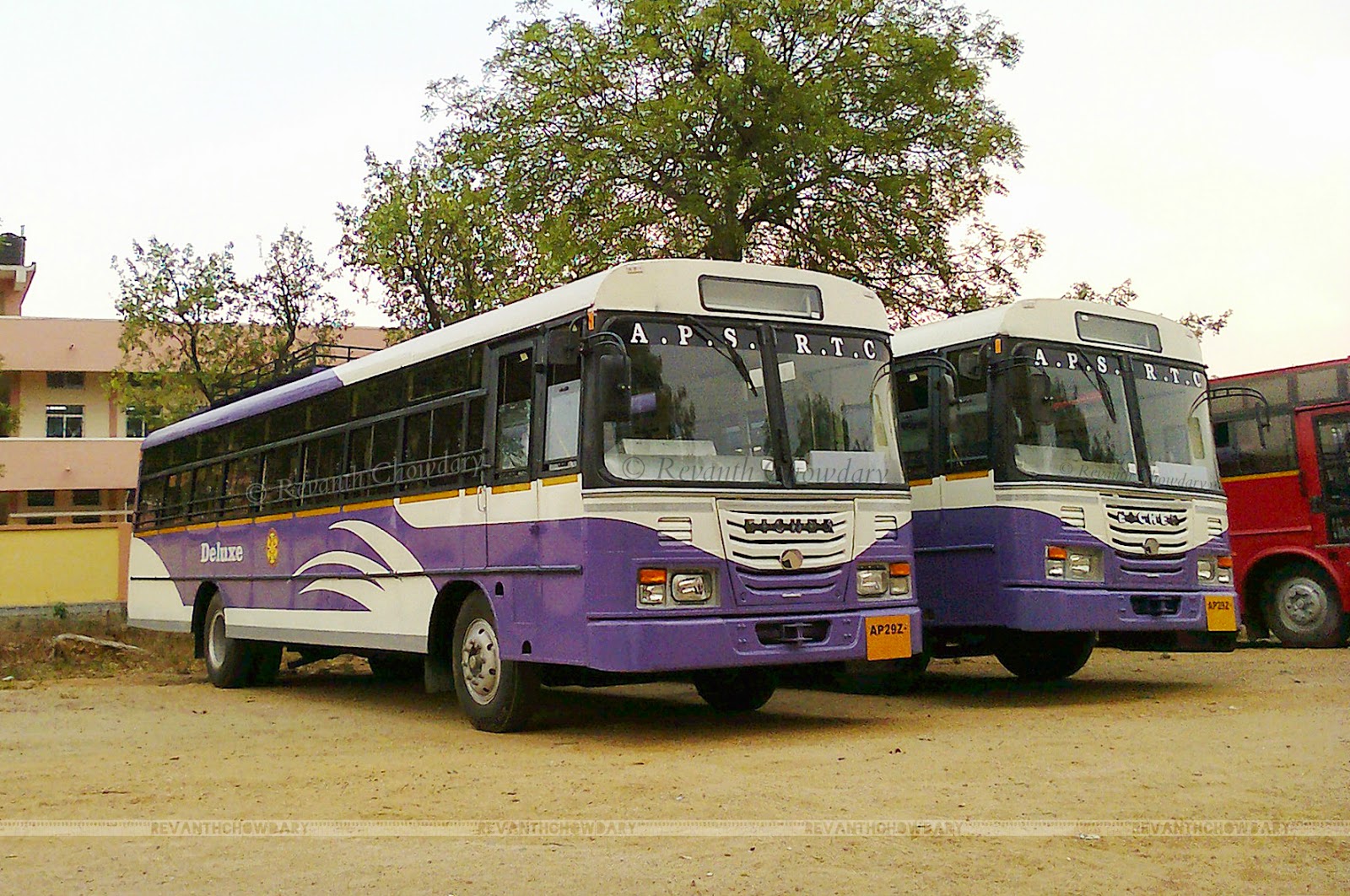 LOVE of Z: New DELUXE Buses