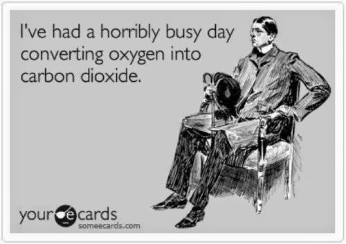 I've had a horribly busy day converting oxygen into carbon dioxide ...
