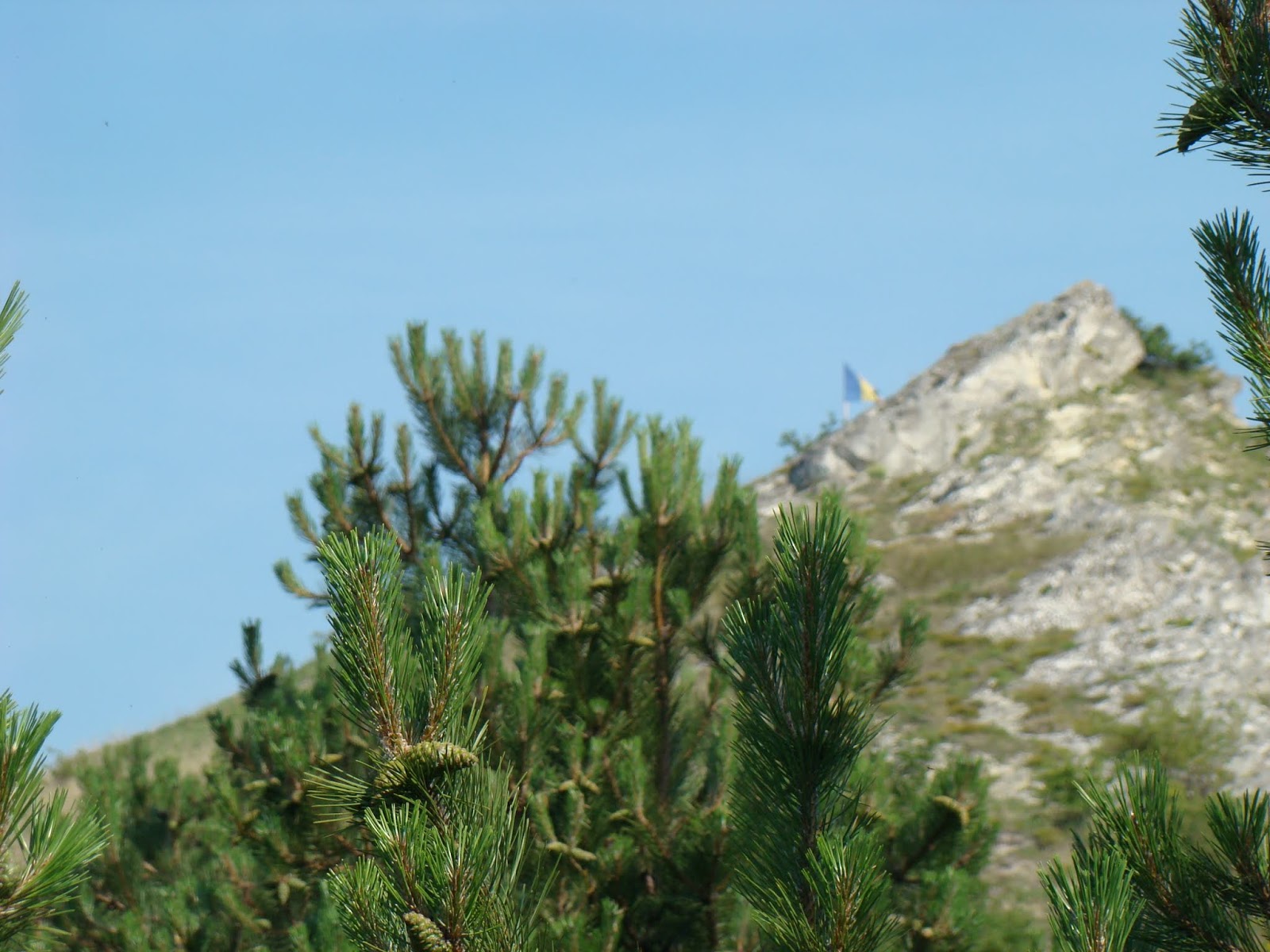 Situl Natura 2000 Stanca Tohani: Descrierea regiunii
