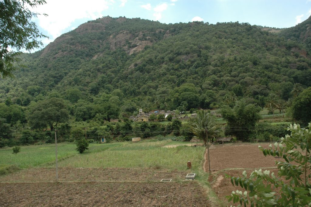 Tamilnadu Tourism: Amirthi Forest & Zoological Park, Vellore