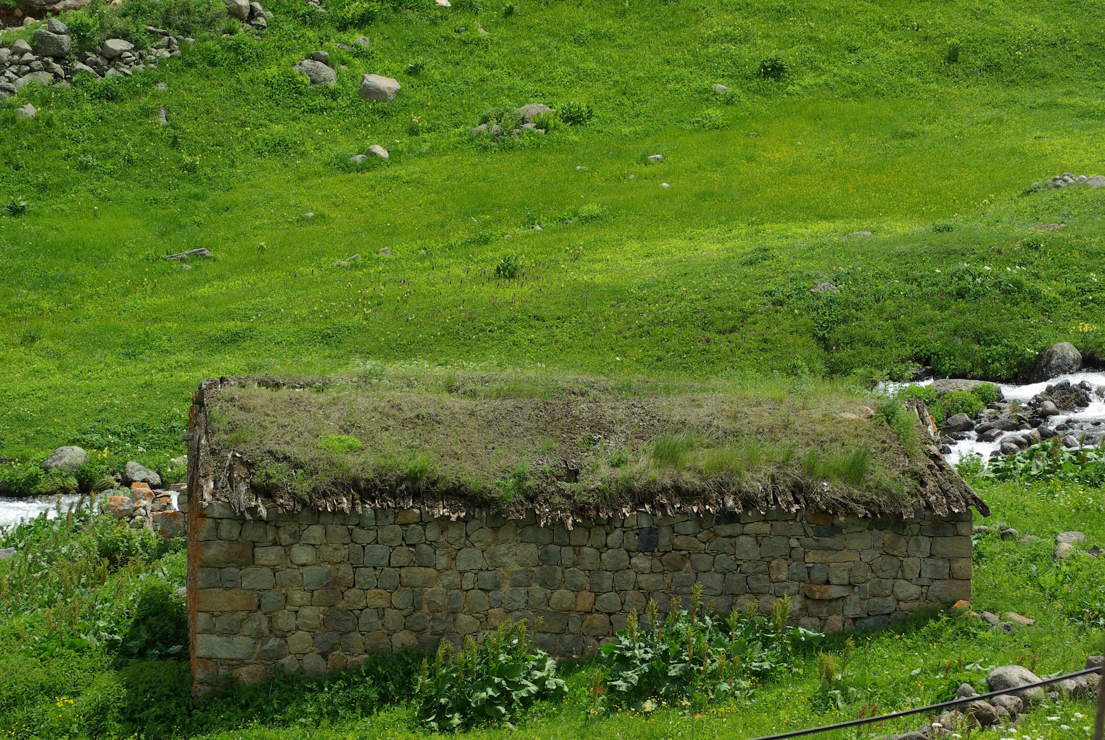 İntor Yaylası: Rize Yaylaları