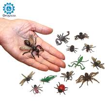 Los Insectos: ¿Qué son los bichos?