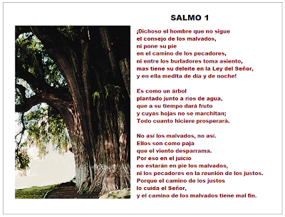 Comunidad Sagrada Familia