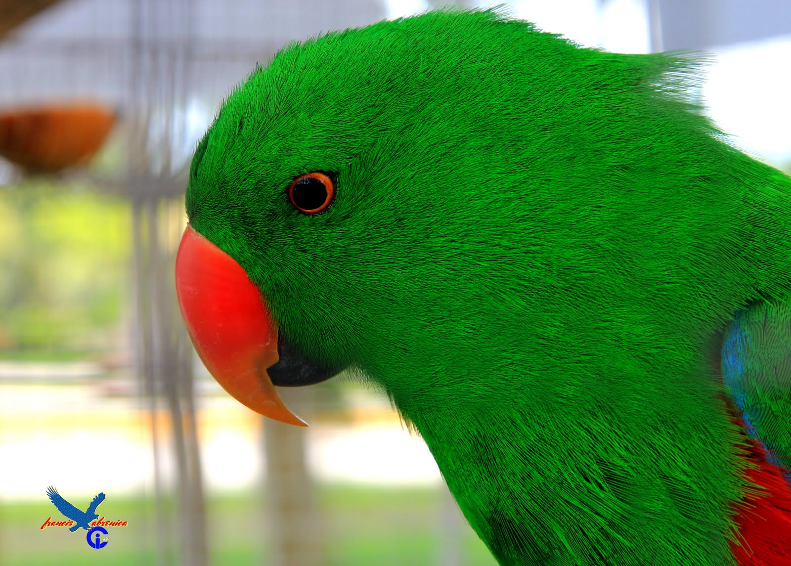 Tagum Snapshots: A GLIMPSE OF TAGUM CITY