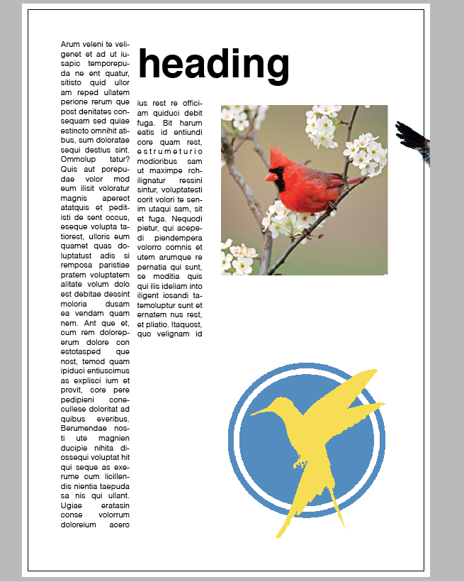 Design Practice: Indesign Workshop