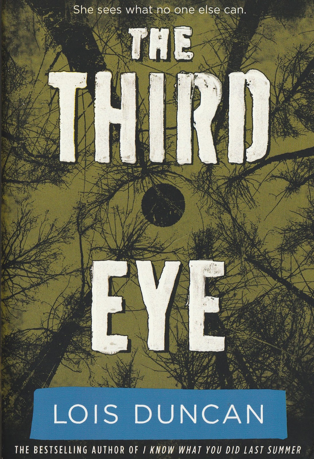Series Books for Girls: Third Eye and Locked in Time