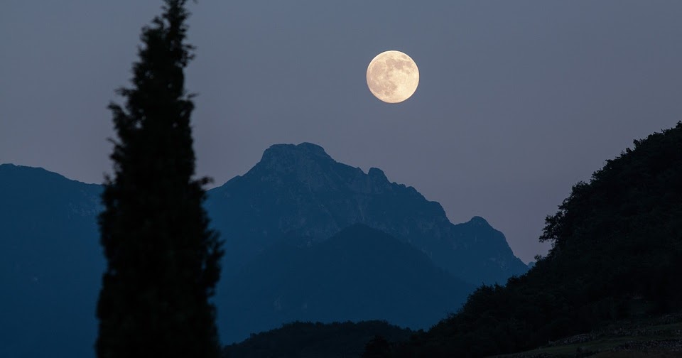 A Healing Space... reflections on love, meaning, and the aliveness of ...