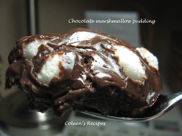 Coleen's Recipes: Microwave Chocolate-Marshmallow Pudding