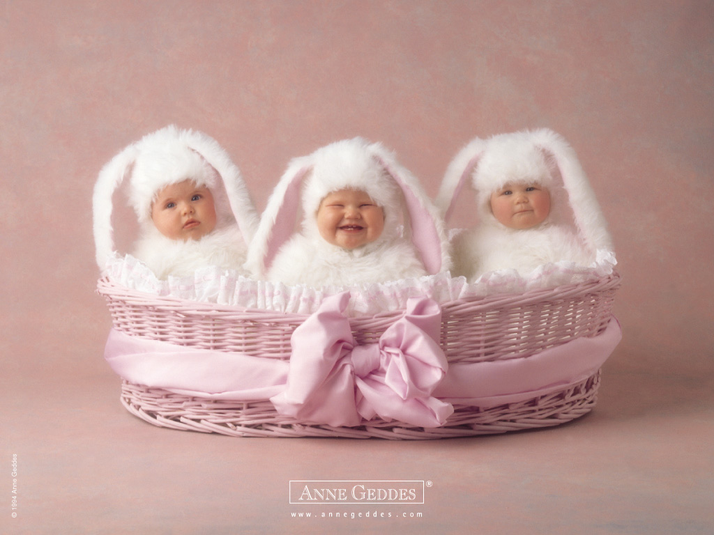 The Reel Foto: Anne Geddes: Babies, Babies Everywhere!