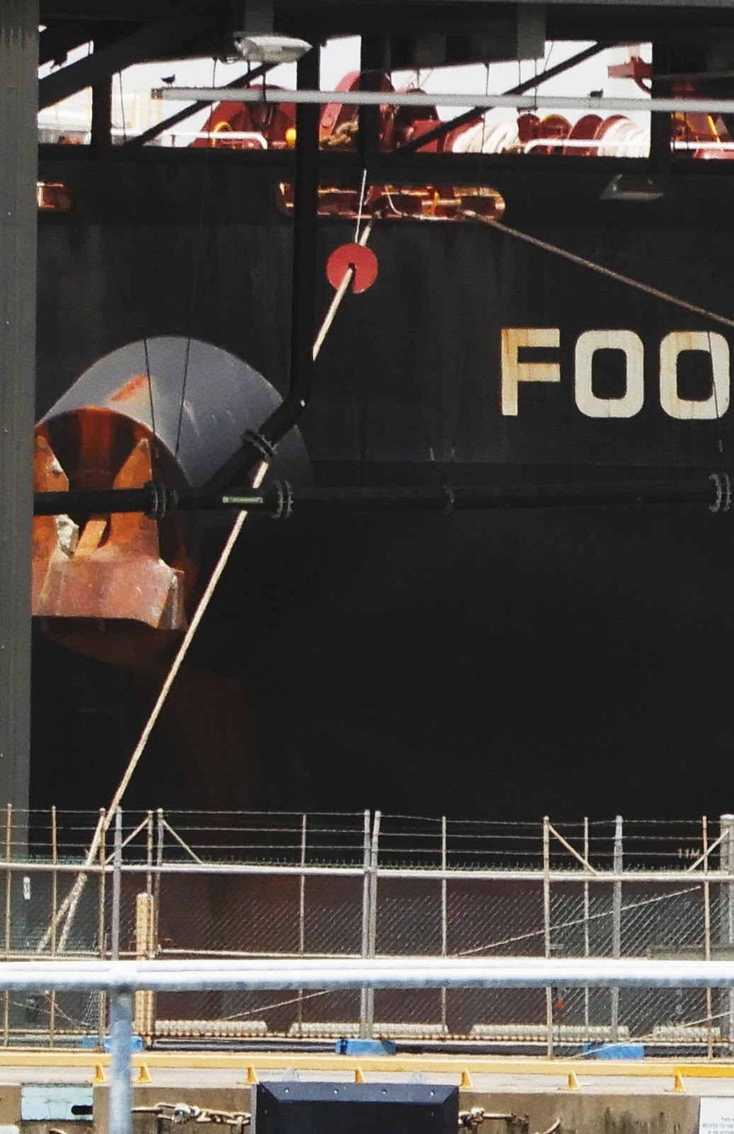 Little Darwin: FOO WAS HERE - OR WAS HE