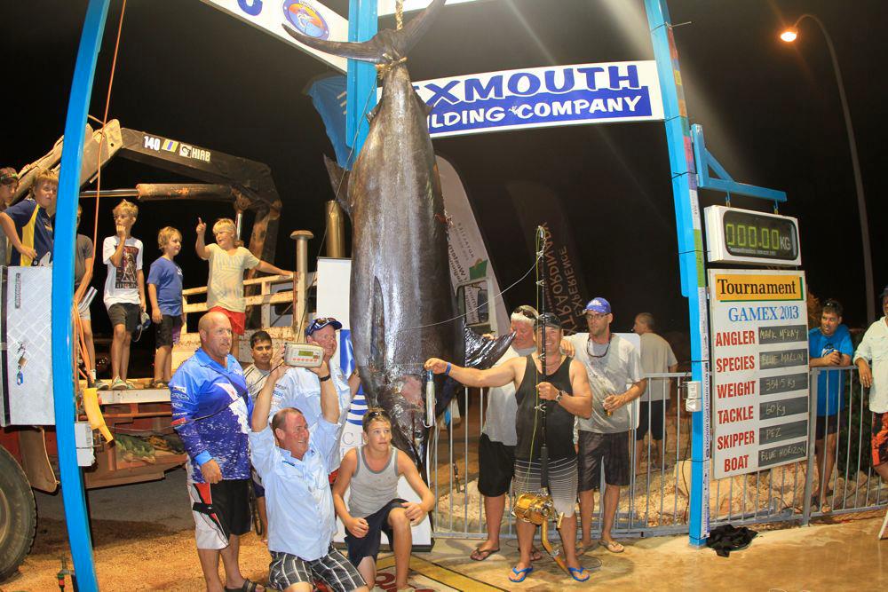 International Fishing News: AUSTRALIA: 780 pound marlin record