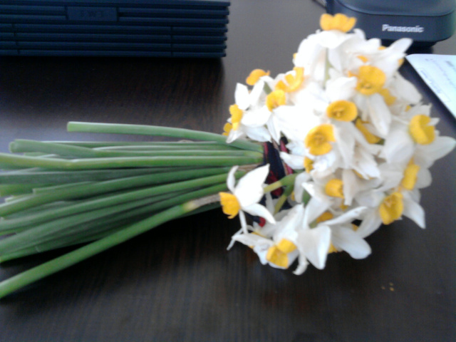 My Blessed Life: NERGZ, THE FLOWER OF KURDISTAN