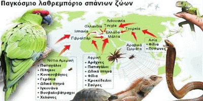 Θα σωθεί μέσω της "μετάλλαξης"? | Any species, any size, any color.