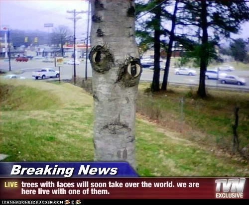 FUN TO BE BAD: Trees Have Faces