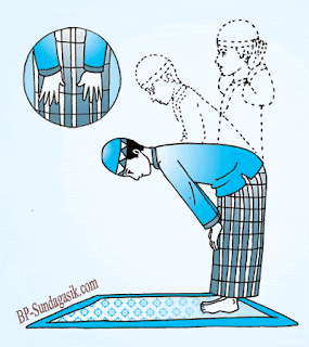 Manfaat sholat bagi kesehatan: Januari 2013