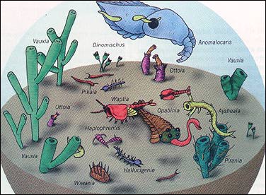 The Biologian: Cambrian Explosion Explanations