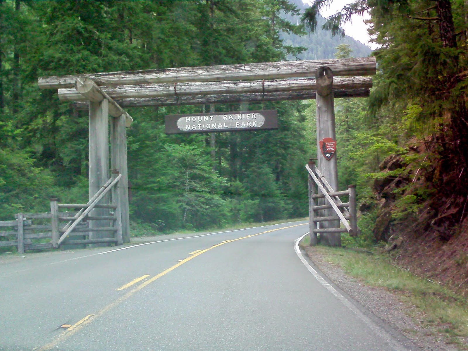 Haley Honda on the Highway