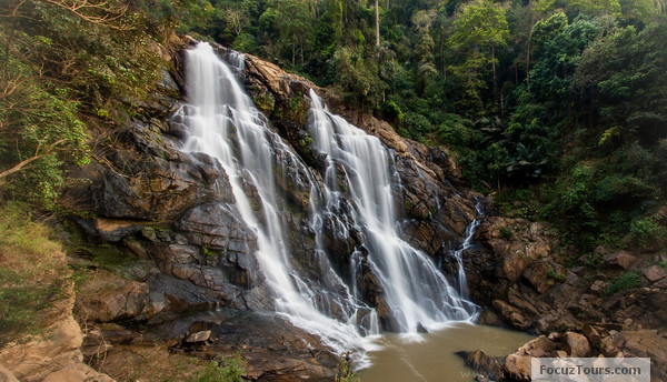 Best Time To Visit Wayanad