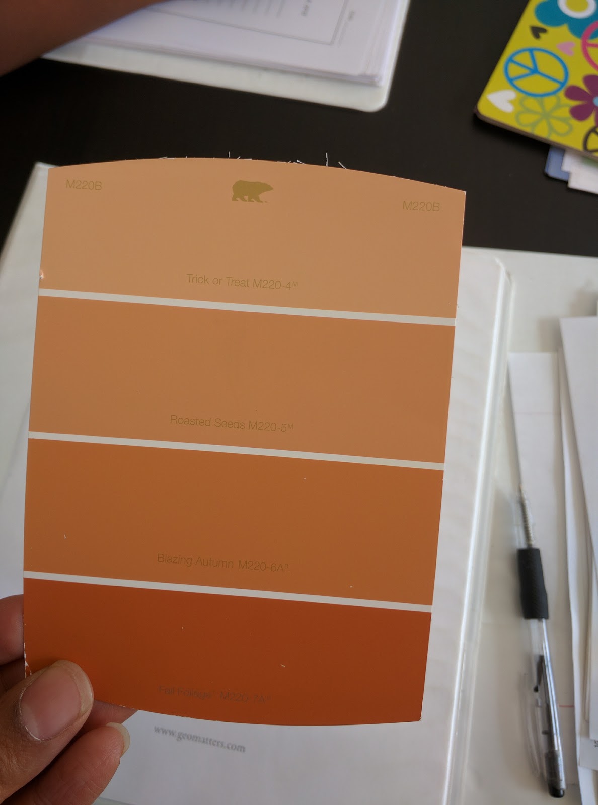 Adventures in Homeschooling (International Edition): A Quick Montessori ...