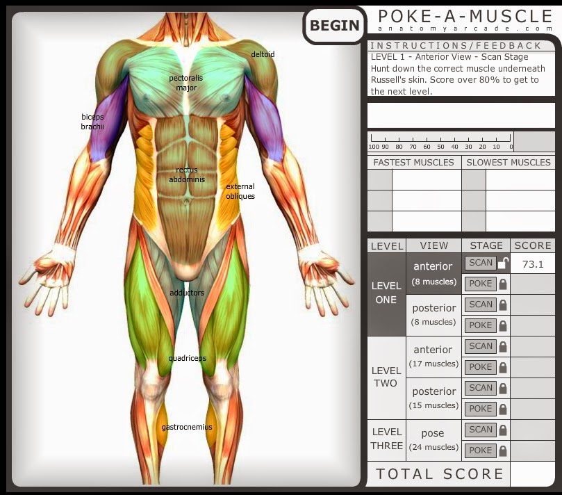 PI Kids DigiBook: Muscles - Learn, listen and practise them