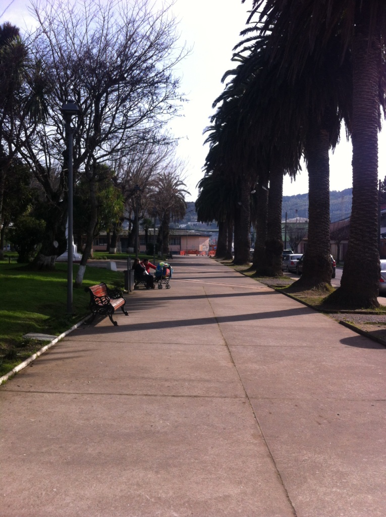 .: Fotos de la comuna de LEBU (Chile)