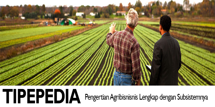 Pengertian Agribisnis Lengkap Subsistem Agribisnis Yang Menunjangnya ...