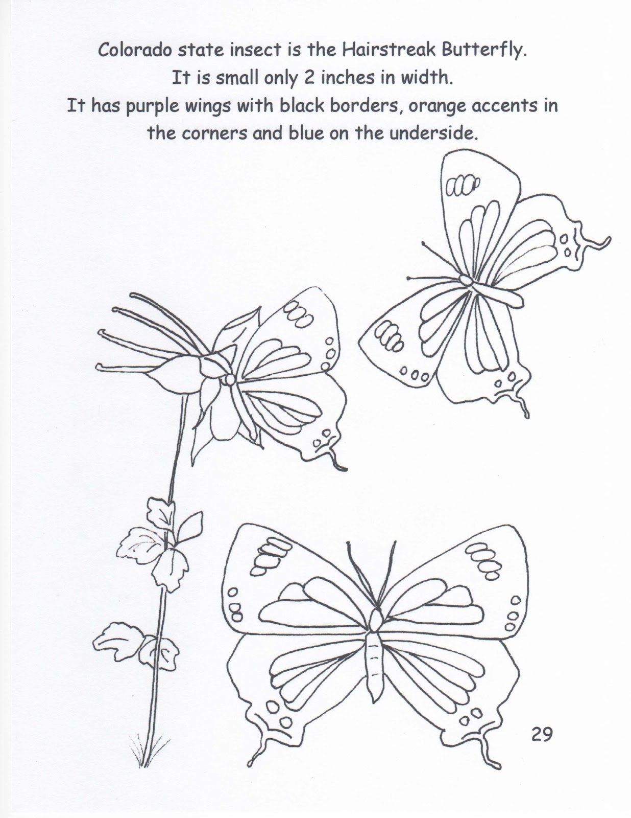 color the United States: Color Colorado