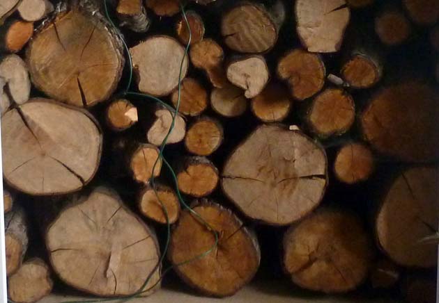 freckleface: Log faces and a log cabin