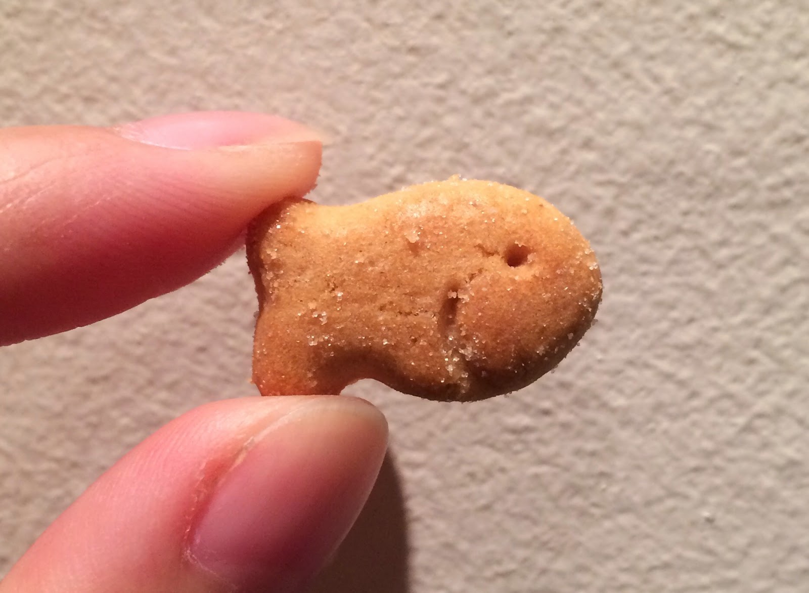 Goldfish Vanilla Cupcake (Easter) / ゴールドフィッシュ バニラカップケーキ（イースター） ~ I'm ...